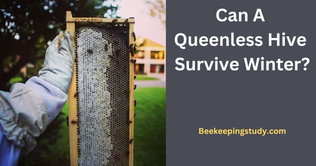 10 Possible Reasons Why Do Bees Walk On The Ground | Beekeepingstudy