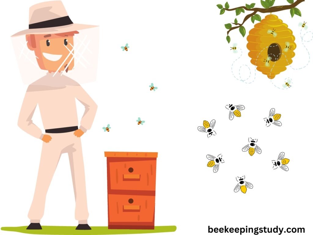 Are Bees Afraid of Humans? The Truth Explained | Beekeepingstudy